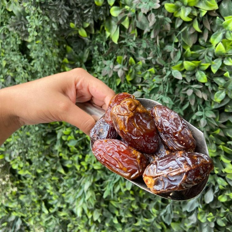 Tâmara Fresca Premium 100g - A Granel Empório 4 Estrelas